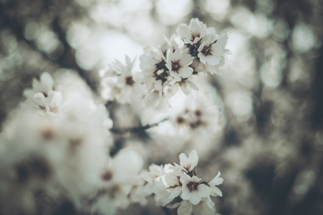 Say Goodbye To Cough: Natural Remedies And Prevention Tips - Learn How ...