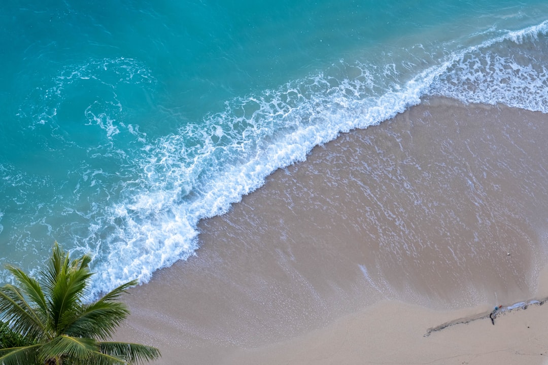 Disaster Strikes Beach: Here Are 5 Ways You Can Stay Safe