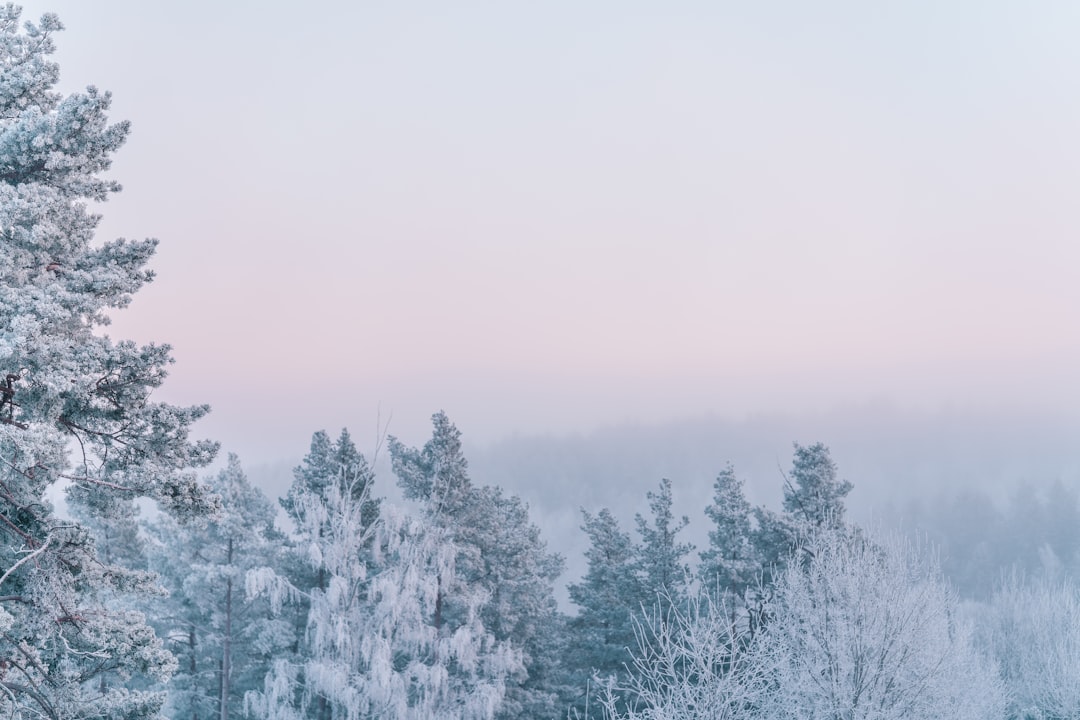 "Why Does Snow Crunch Underfoot? The Science Of Winter Sounds"