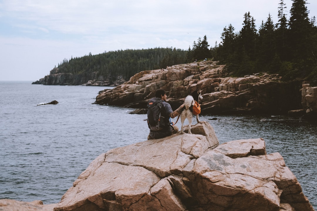 National Park Spring Break: Exploring America's Natural Wonders