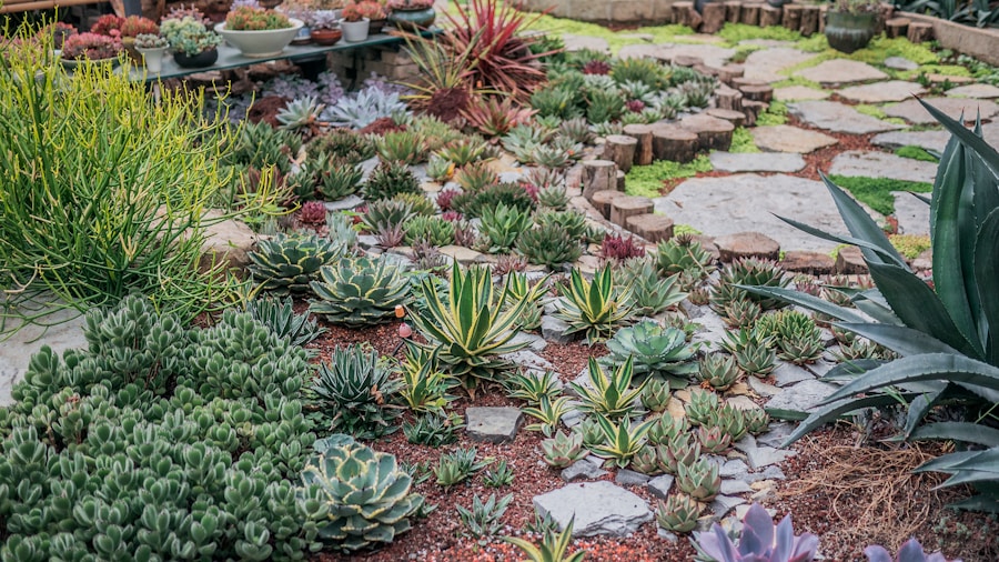 "Drought-Resistant Landscaping: The Gardening Trend Spreading From West ...