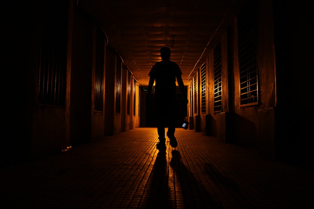 Netflix Mystery Thrillers Black Rabbit Inspector Zende And Gone Girls ...