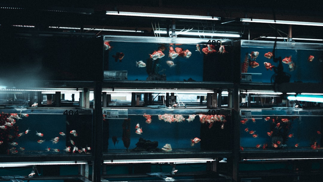 How To Use AI To Monitor Fish Tank Conditions