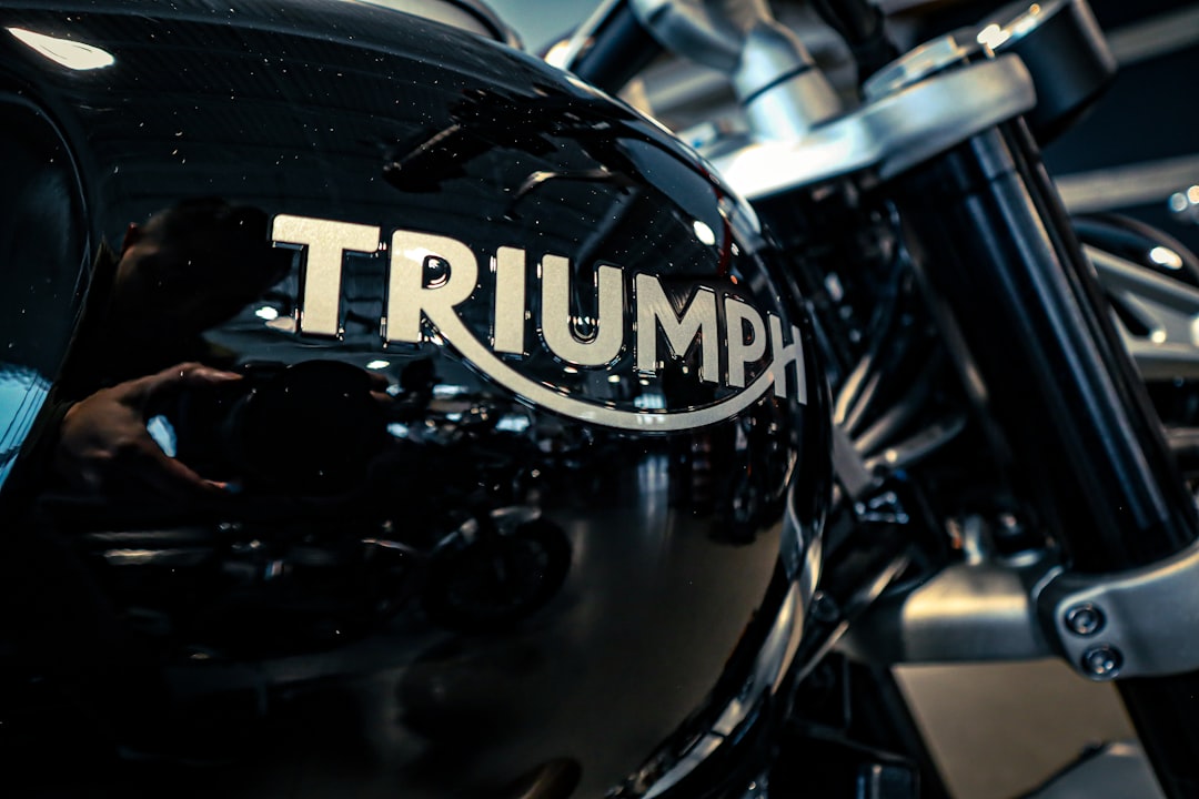 How To Study Trump’s Campaign Slogans In 2025
