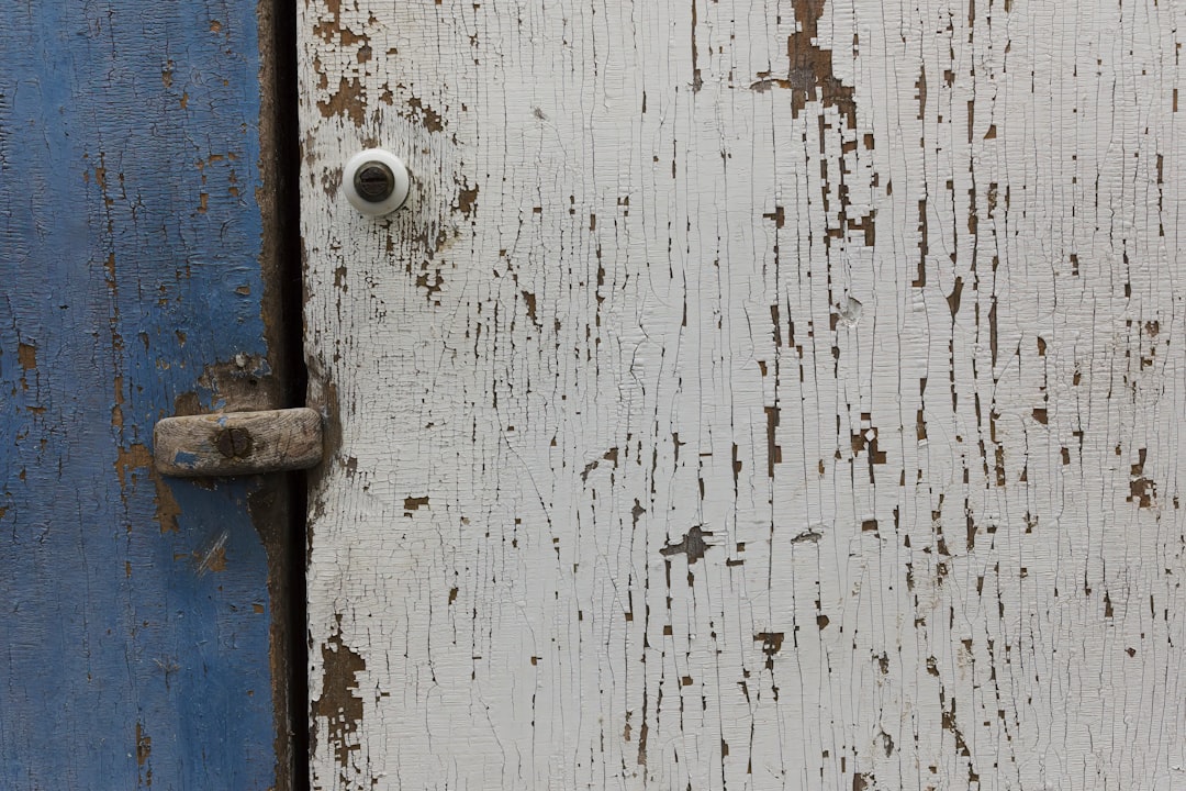 How To Fix Squeaky Door Hinges In Seconds
