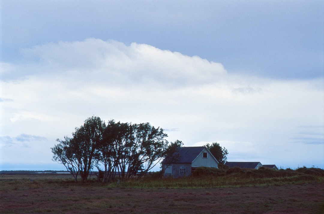 How To Use Hootsuite For Social Media Management