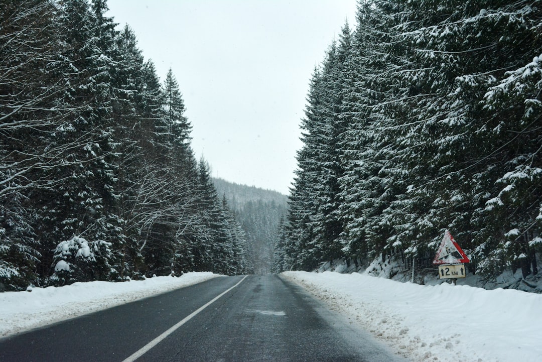 How To Travel Safely During Winter Storm Season At Christmas - Learn ...